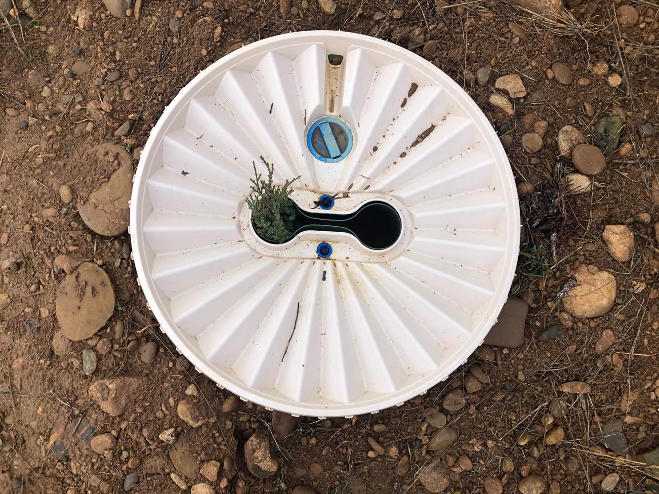 Asociación Medioambiental Ermitaños: PLANTACIONES Y RIEGOS