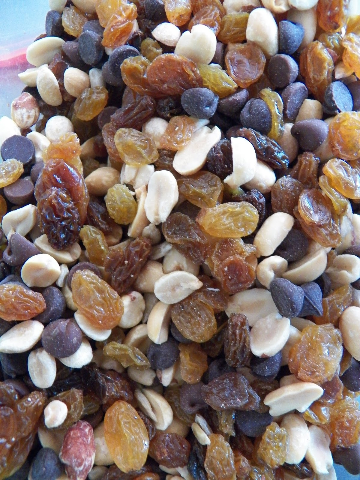 Home made Gorp or Trail food - Sid's Sea Palm Cooking