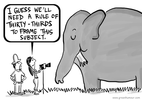 Green Humour: Cartoons on Wildlife Photography for Dusty Foot Productions