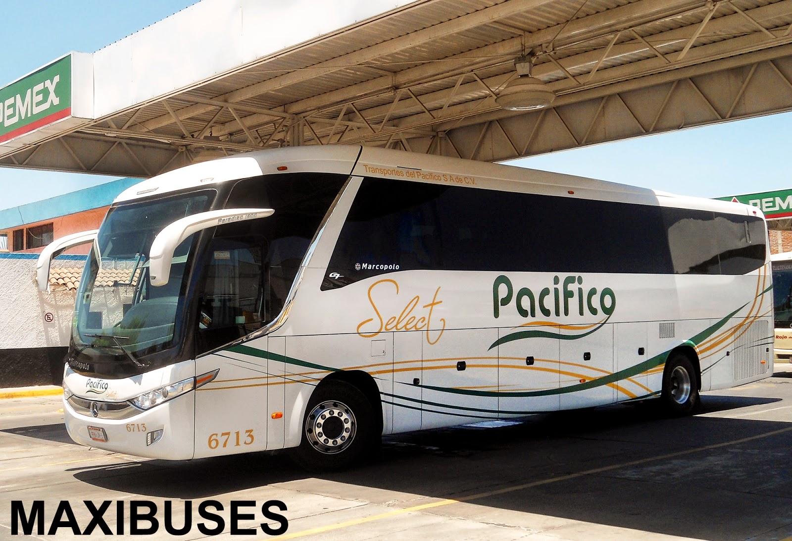 MAXIBUSES: TRANSPORTES DEL PACÍFICO, PACÍFICO SELECT