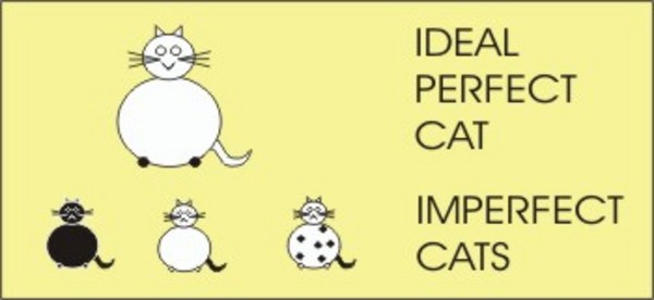 What is Plato's Theory of Forms?