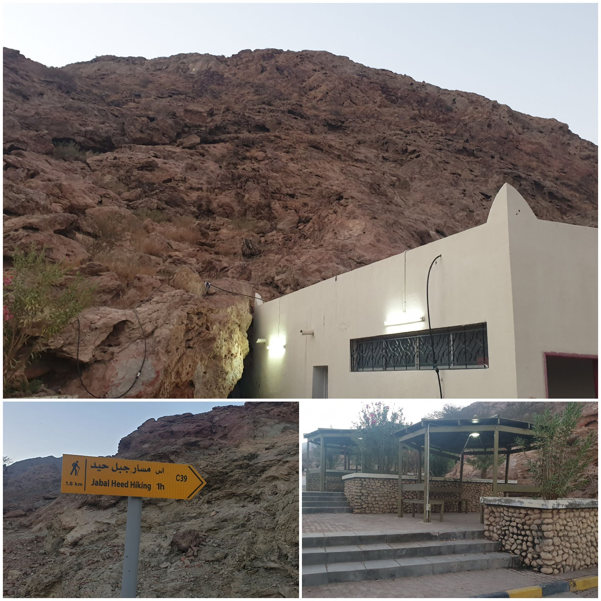 Amazing journey of life