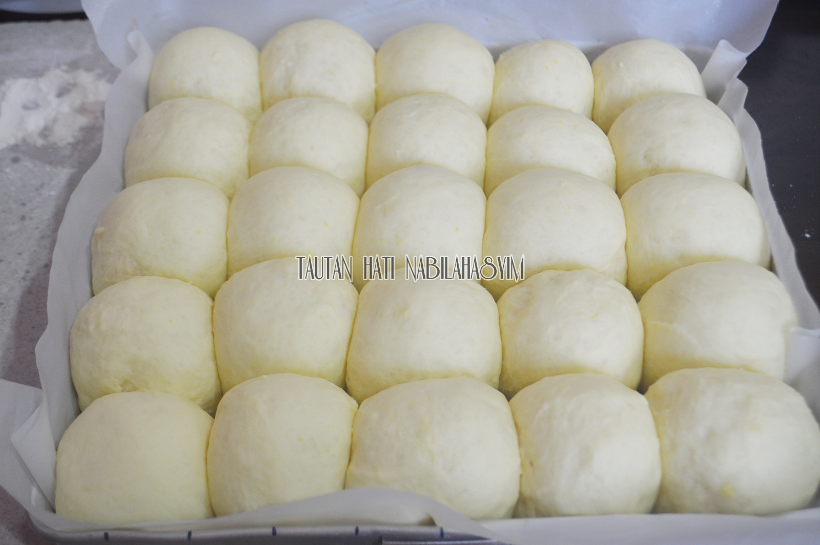 August 2017 ~ NabilaHasyim Family