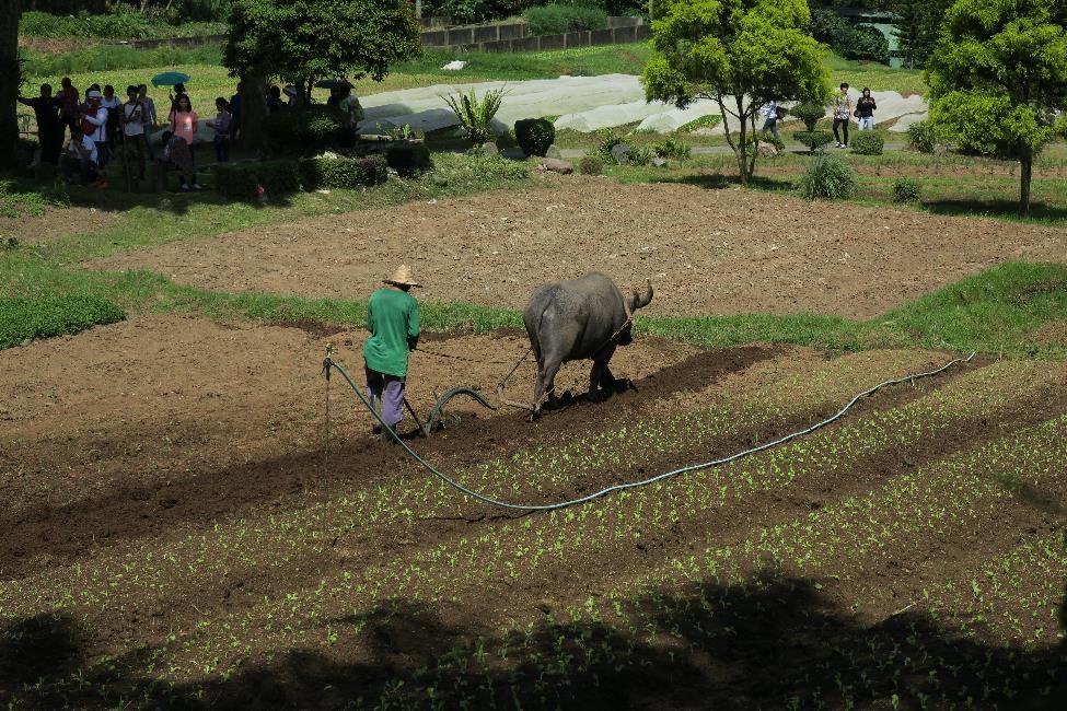 Philippine Farm Tours in Tagaytay & Bulacan - Philippine Flight Network