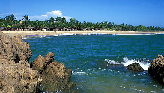 VÍVE MÉXICO: Playa Paraíso Guerrero