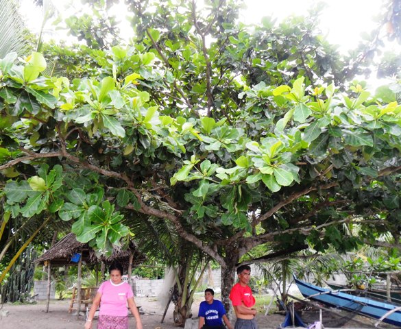 Marinduque Rising: Palo Maria de la Playa immortalized