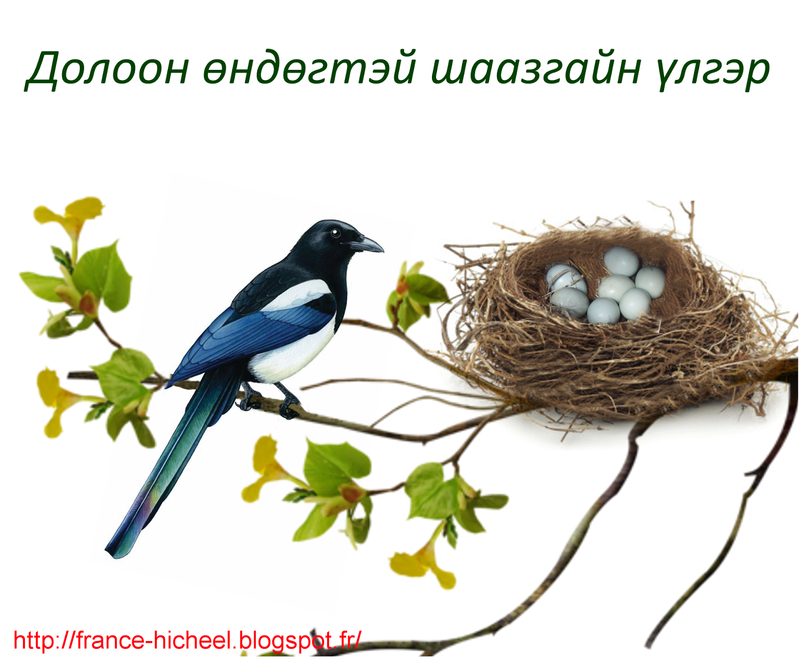 Долоон өндөгтэй шаазгайн үлгэр франц хэл хичээл