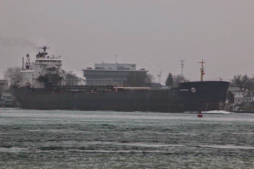 Michigan Exposures: Algowood if She Could