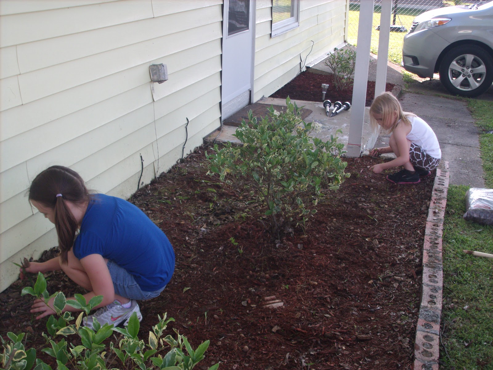 Our Little Family: Yard work