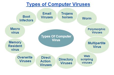What Is A Computer Virus? How They Spread And 5 Signs You've Been Infected