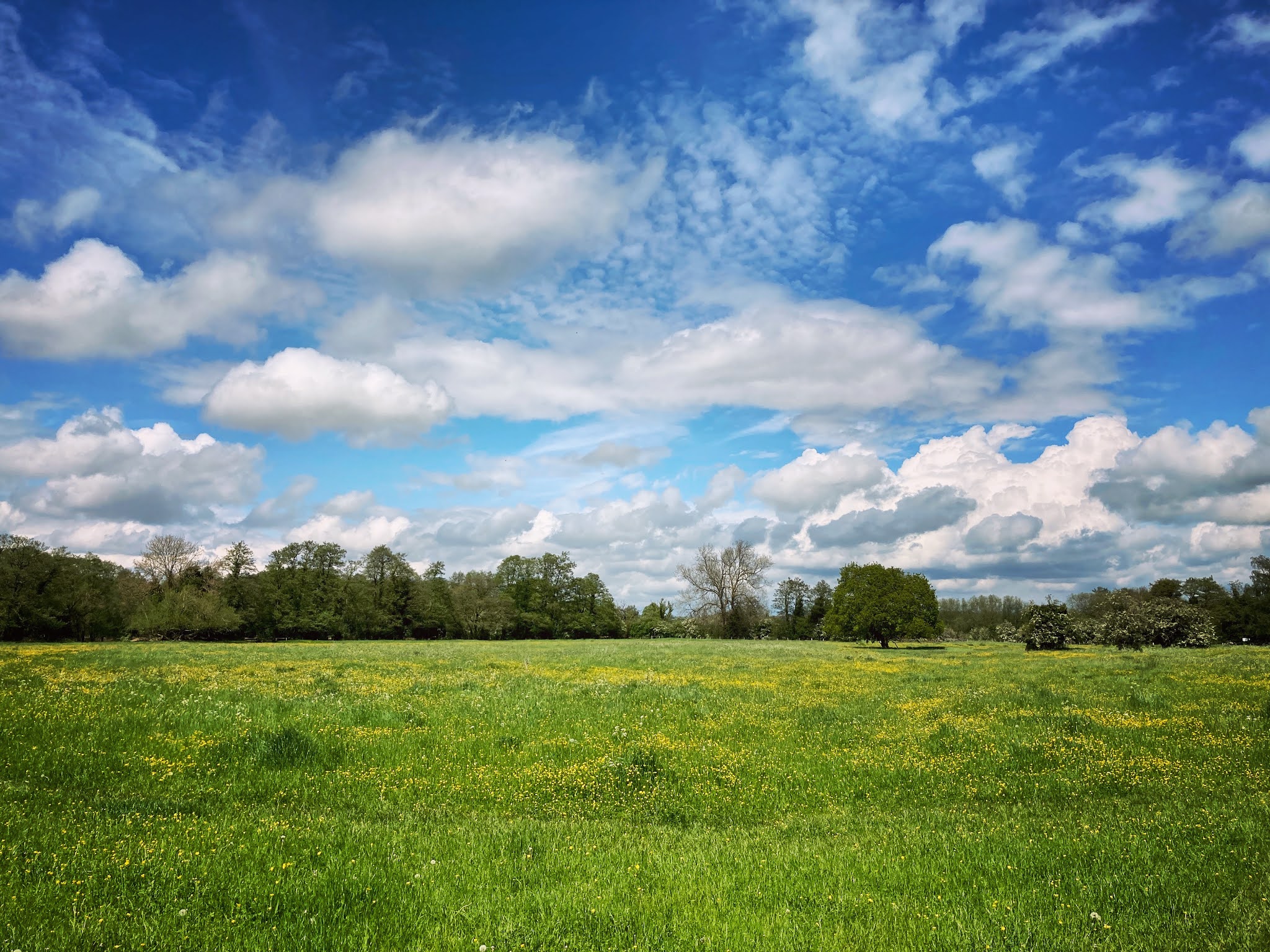 Flitwick Moor Photography Course with Greensand Country