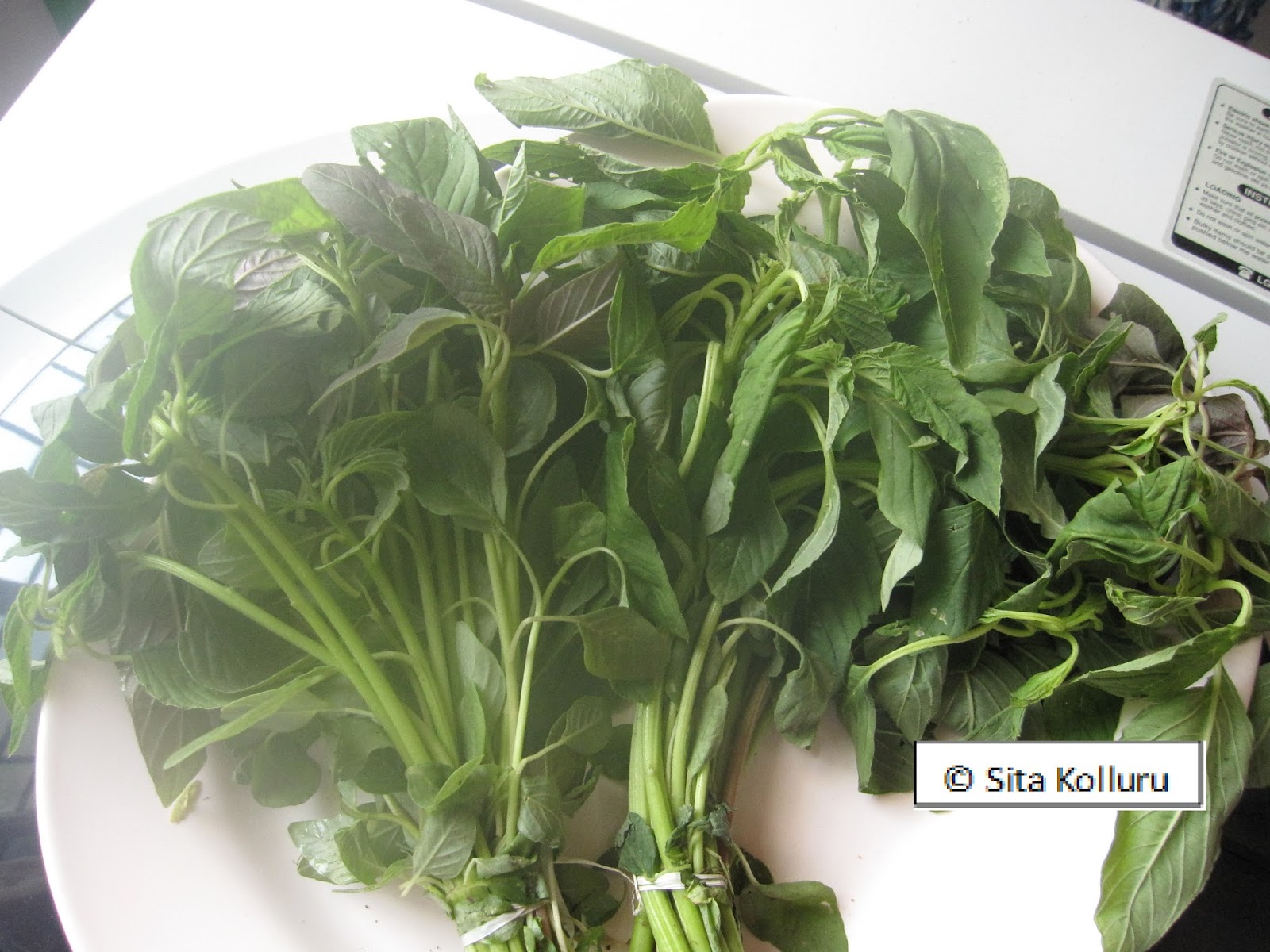 Sita's Ruchulu: Thotakura pulusu (Chaulai saag/Amaranth pulusu)