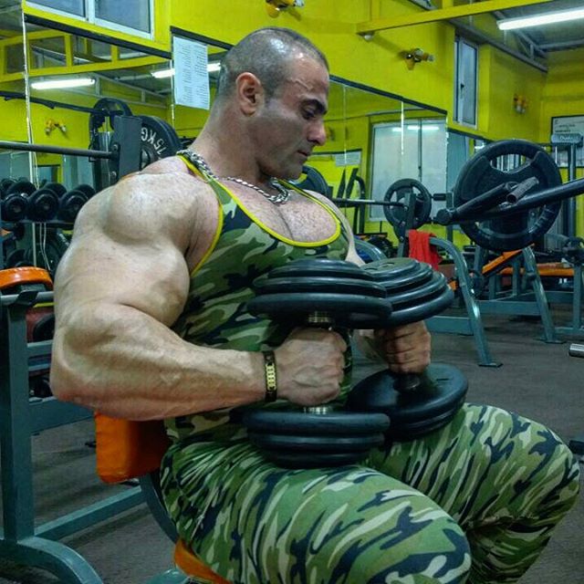 Muscle Lover: Iranian bodybuilder Jafar Ghaffarnezhad