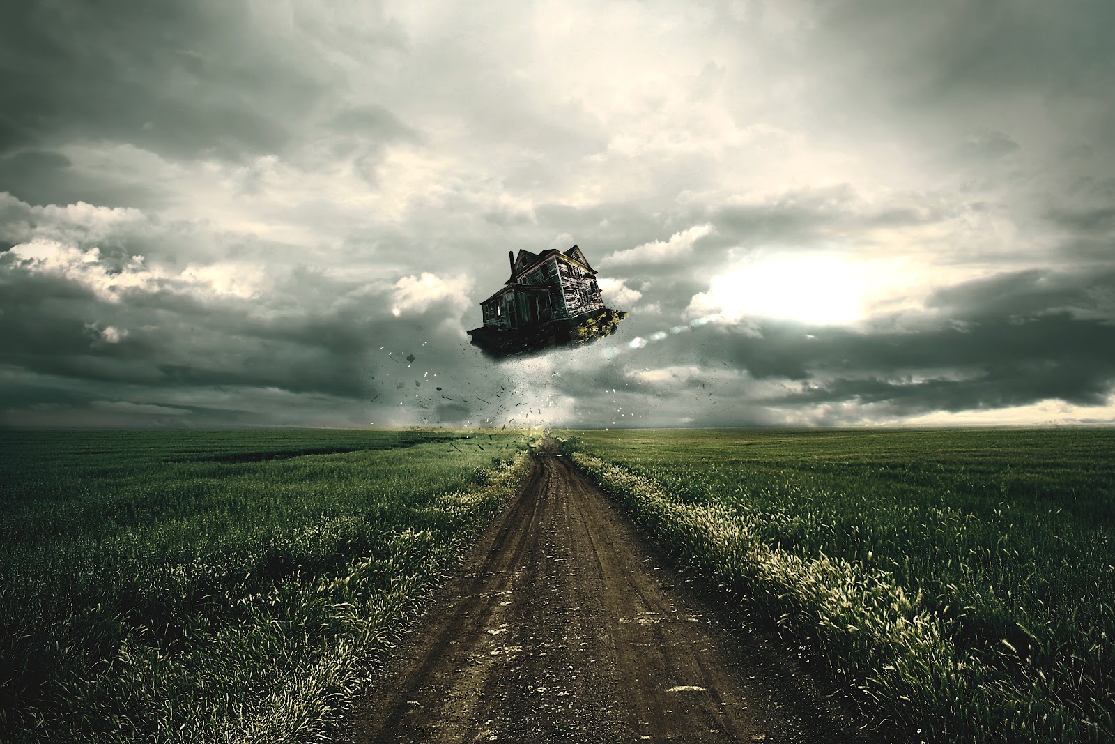 FLYING HOUSE: Flying House Art and Pictures