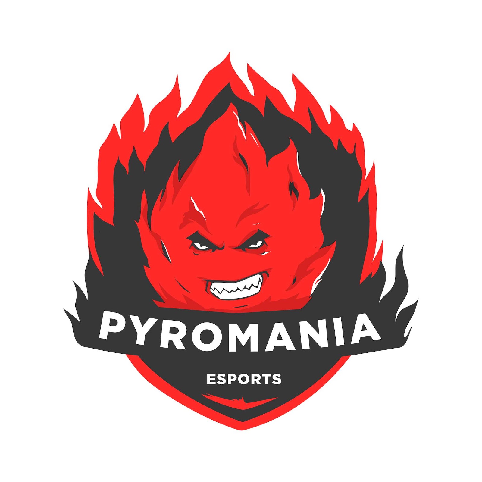 Esports South Africa, and other games : Pyromania Esports affiliates to ...