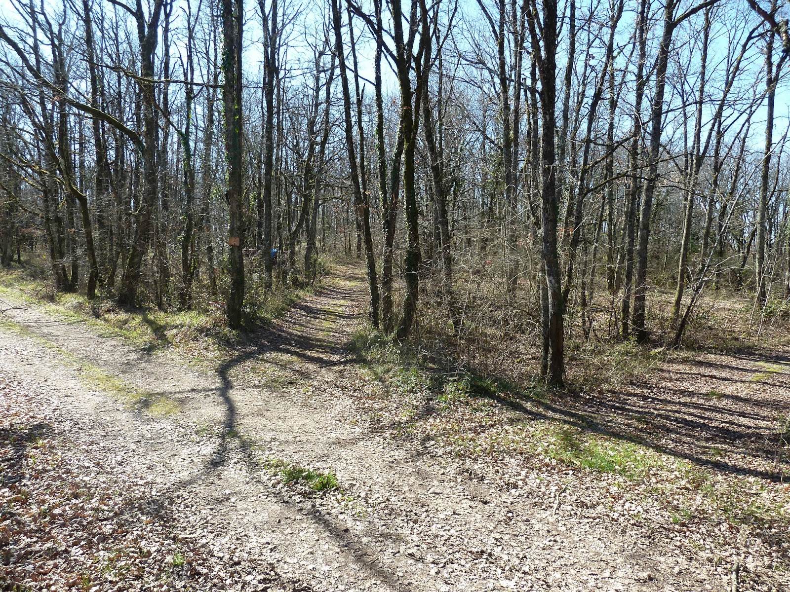 Un vrai champ de mines à Puycelsi | Centre archéologique des pays albigeois