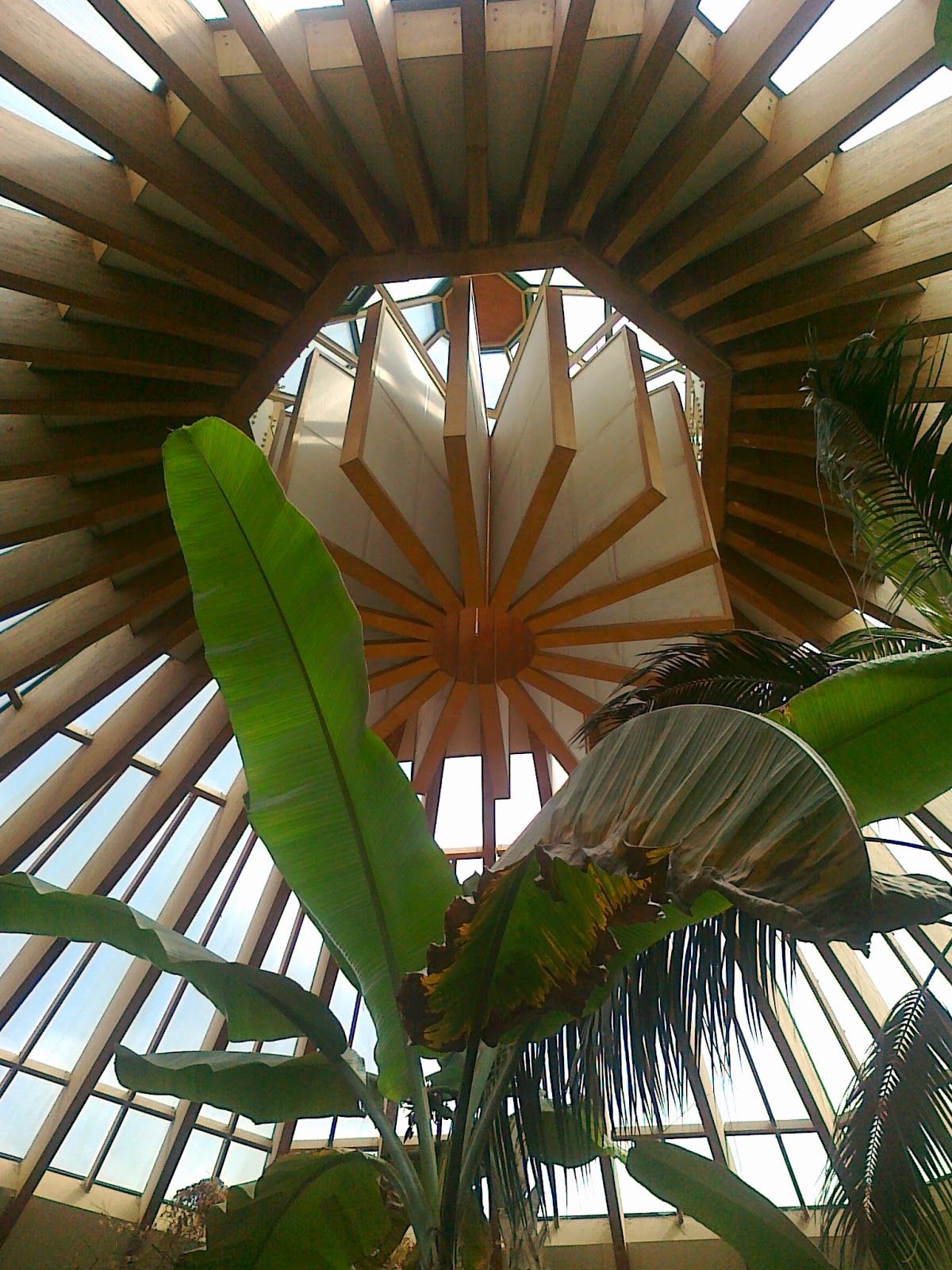 Pat Papertown 2: Warsaw Zoo: Elephant House Ceiling