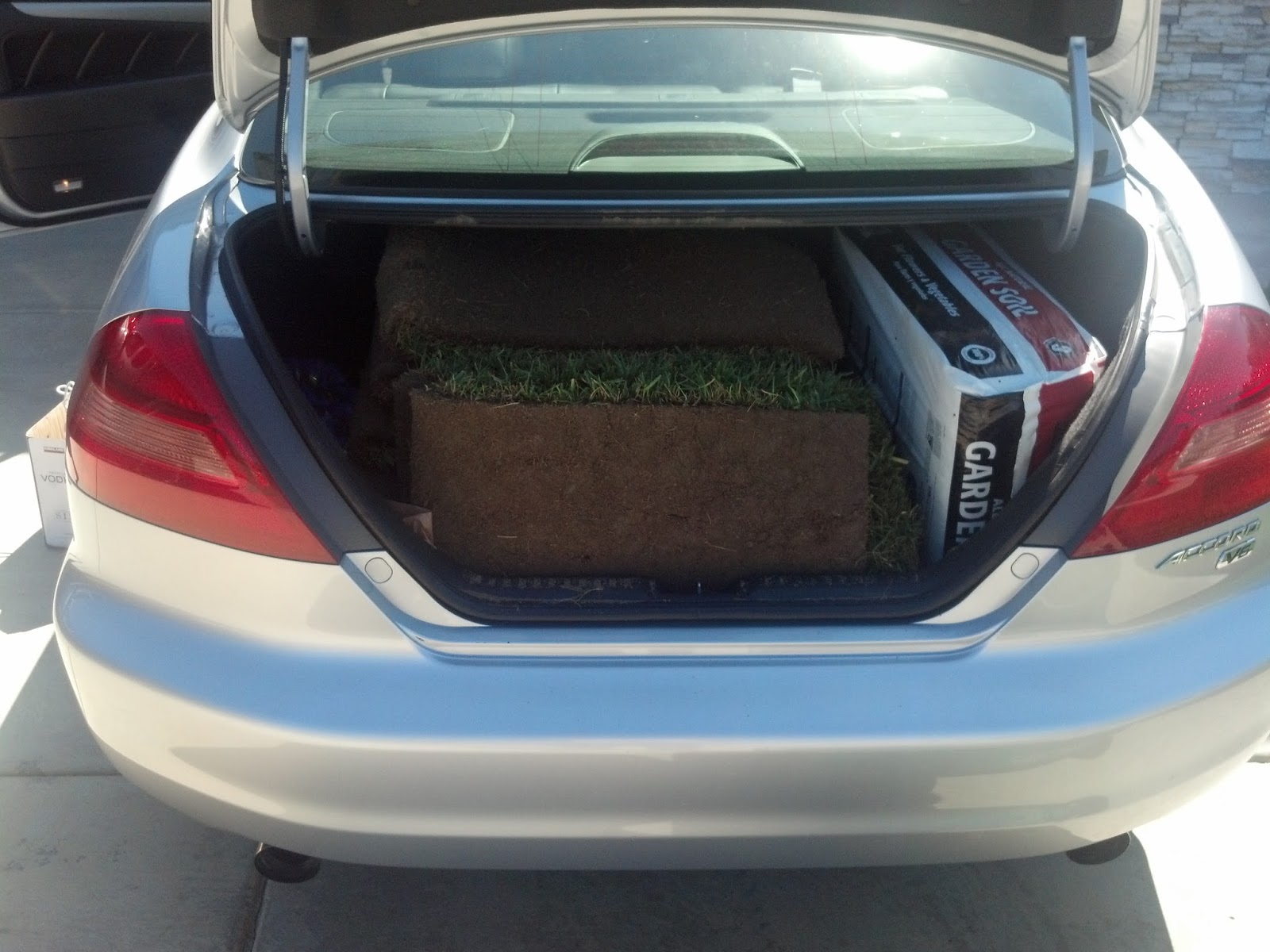 Blue Heron Blast: Sheebz