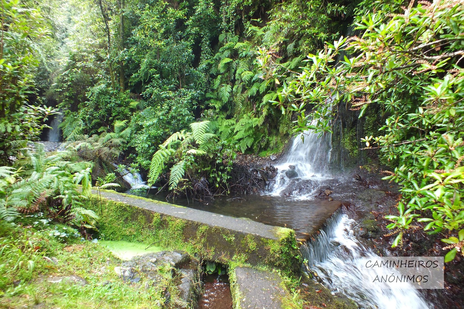 Caminheiros Anónimos Levadas da Madeira : Levada (Nova) da Achada ...