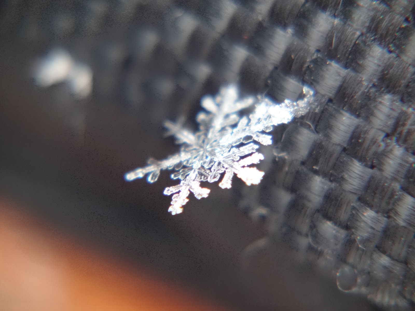 Math, Science, and Technology Blog: Snowflakes
