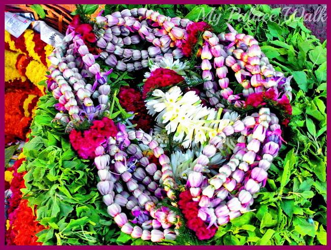 My Palace Walk.....from the Sahara to the Subcontinent: Of Beauty ...