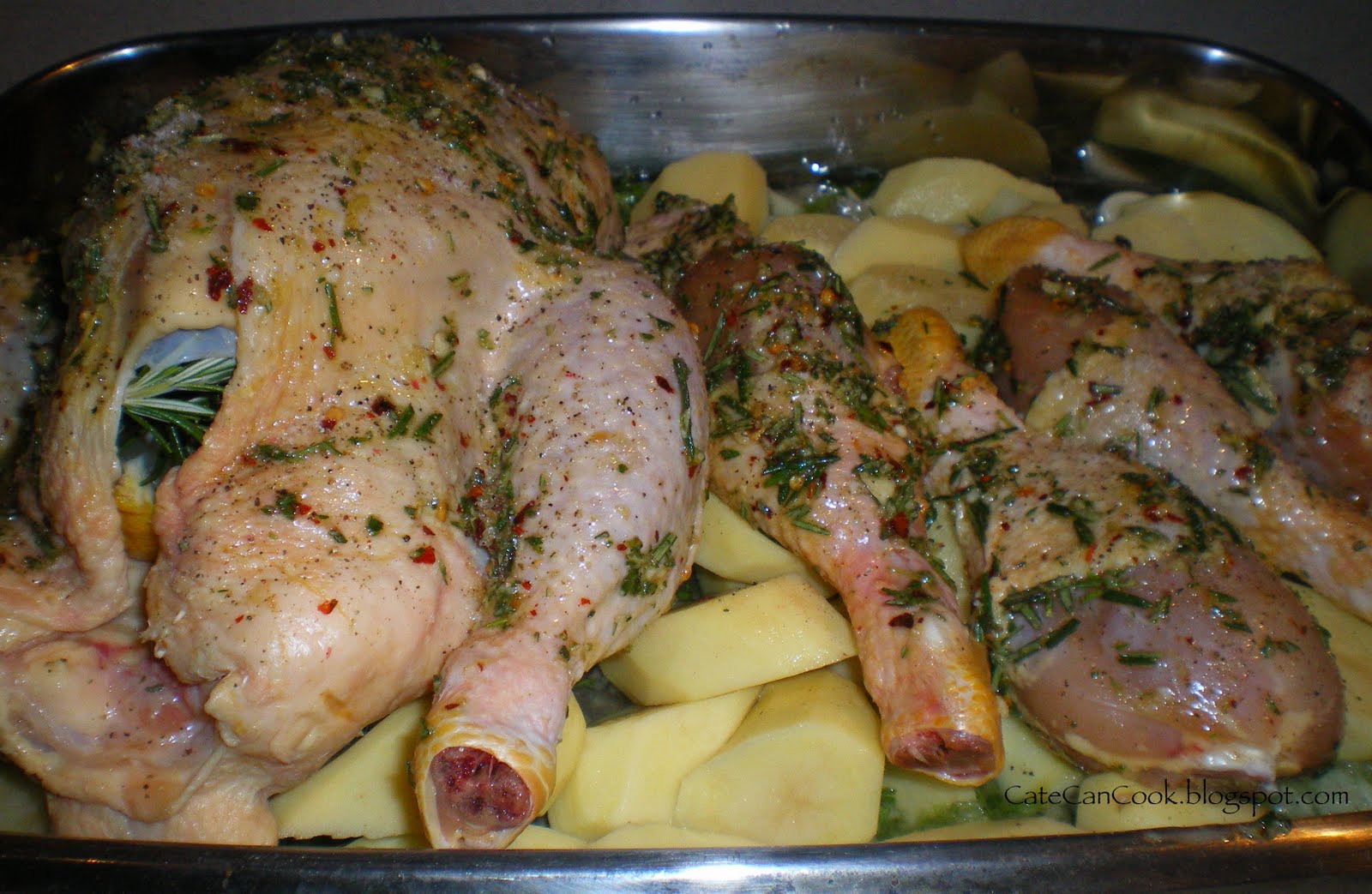 Cate Can Cook, So Can You!!: A Taste of Veneto (A Taste of Venice)