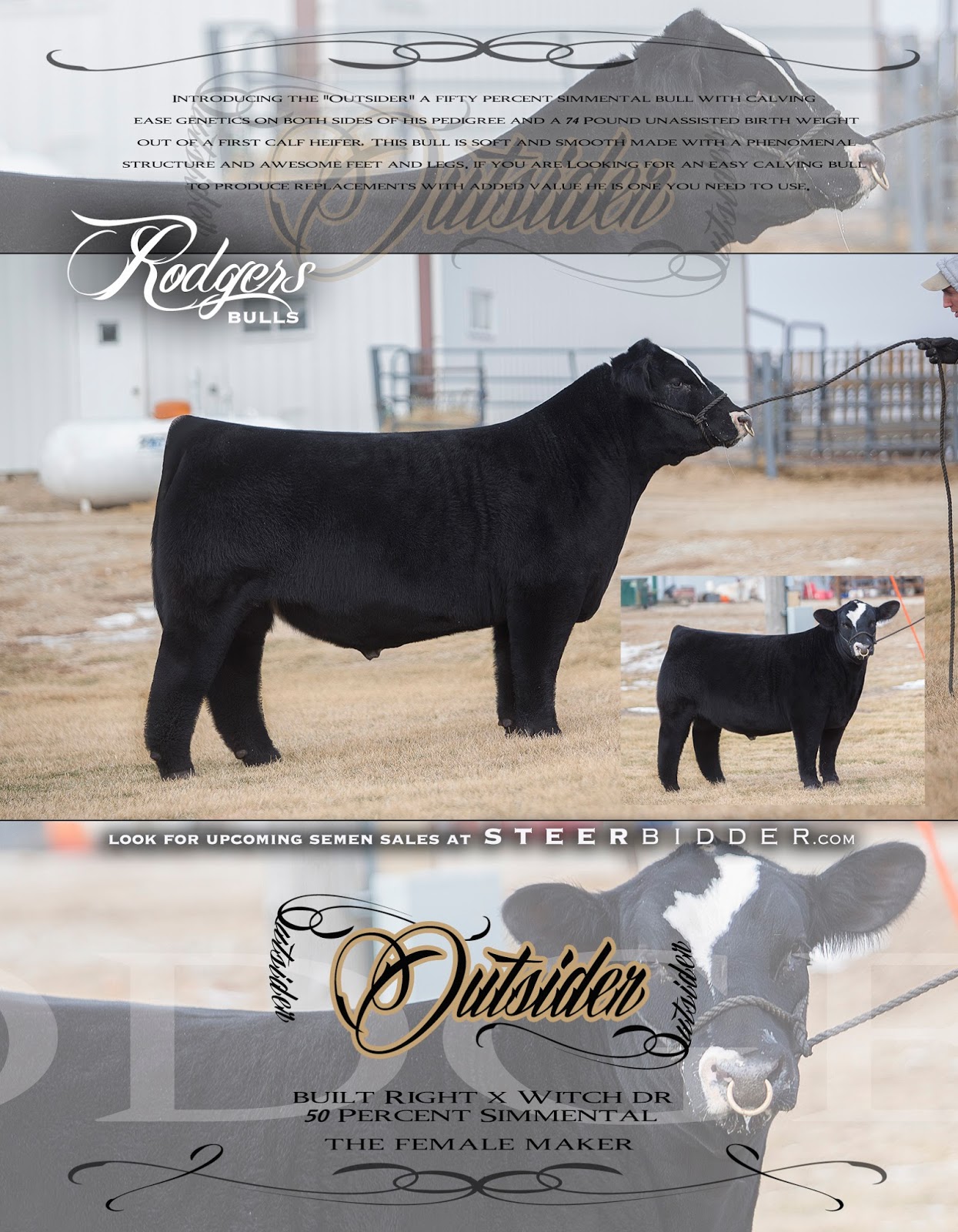 RCC Blog: The Outsider