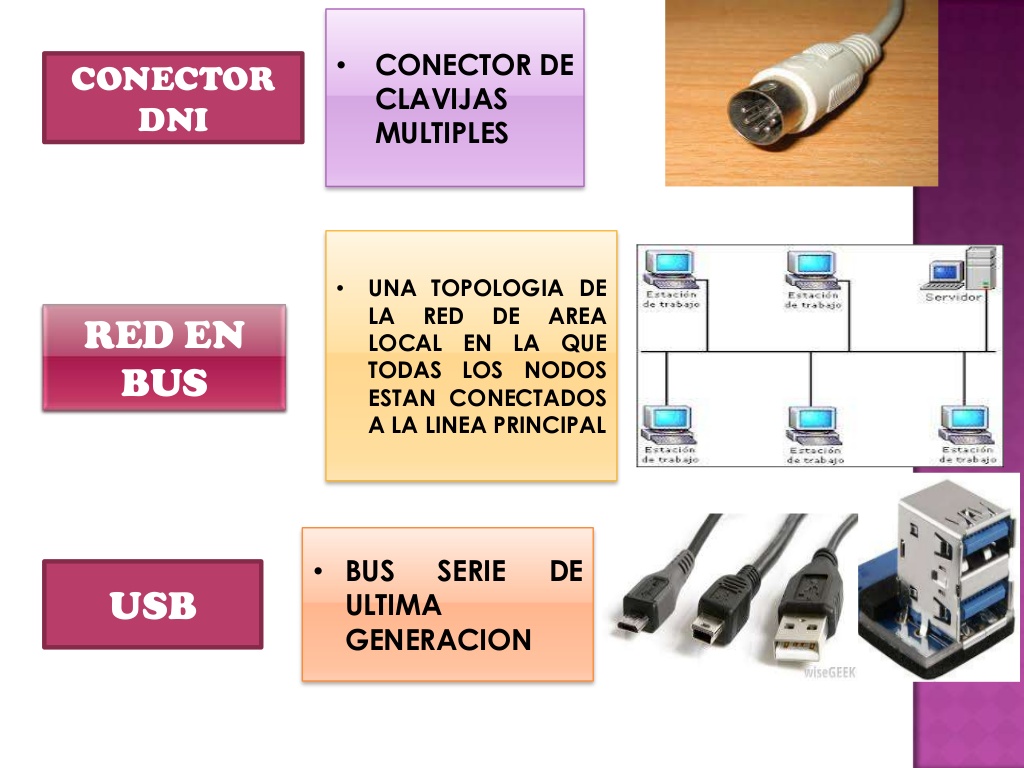Informática: Placa Madre : Bus de Datos