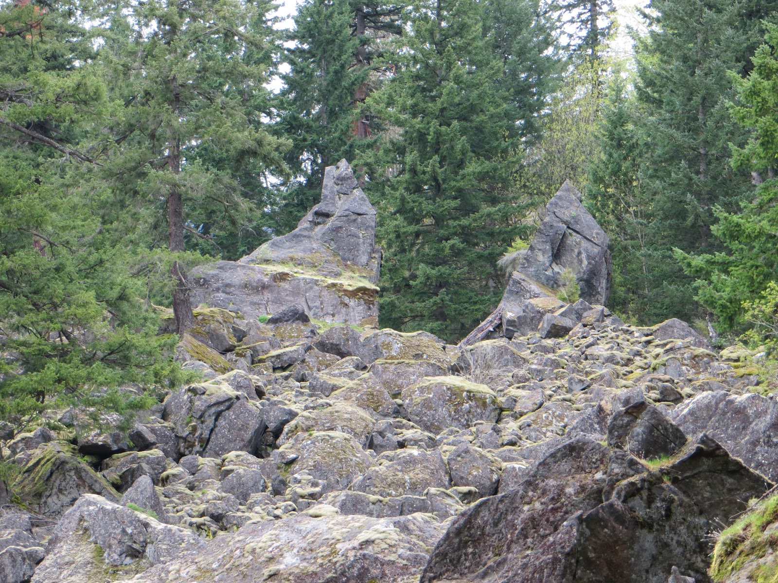 My Pacific Northwest: Devil's Rock Garden 4-28-12