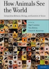 How Animals See The World? (Infographic) | SardarJiFactSite