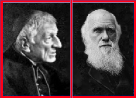 Streams of the River: Newman on Darwin and evolution