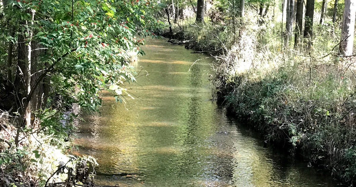 DivineBlessings: Mouna Swami Siddeshwari Peetam Courtallam, India