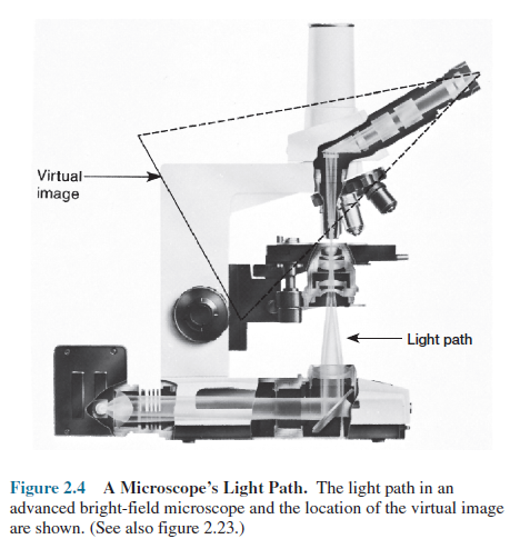 Microbiology Notes: The Study of Microbial Structure : Microscopy and ...