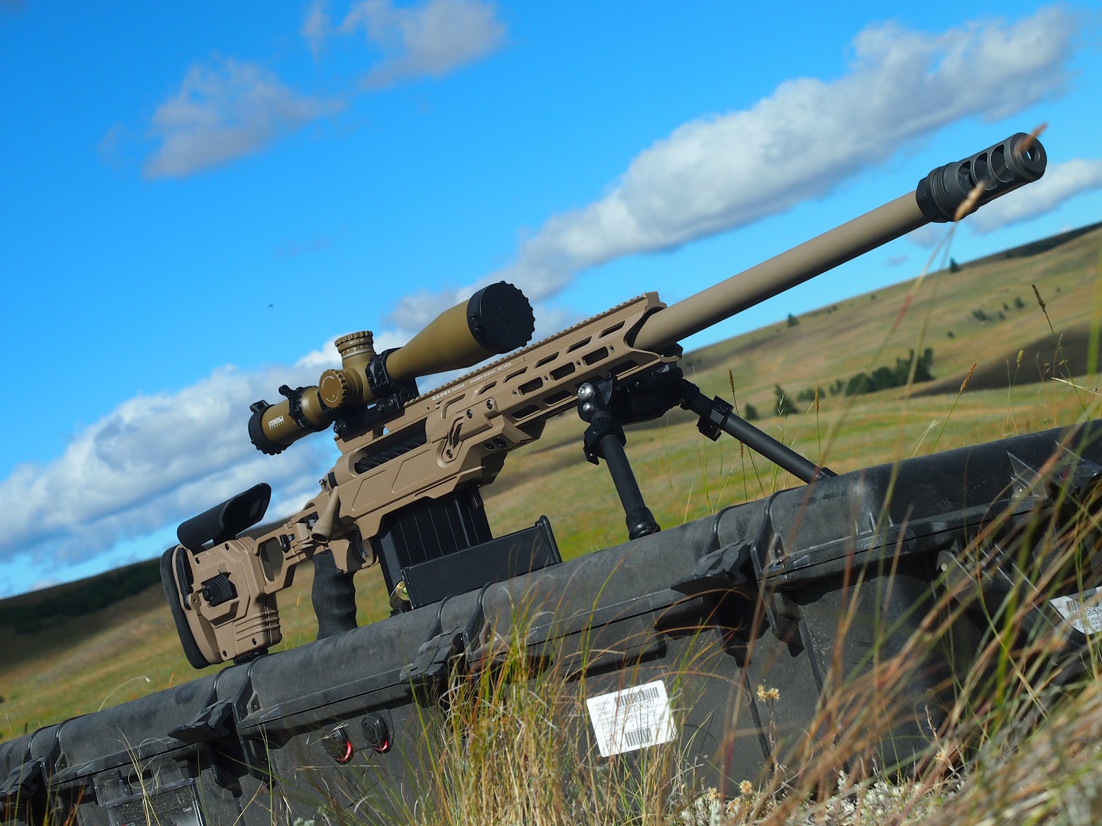 your current grail rifle. > General Discussion > AR15.COM