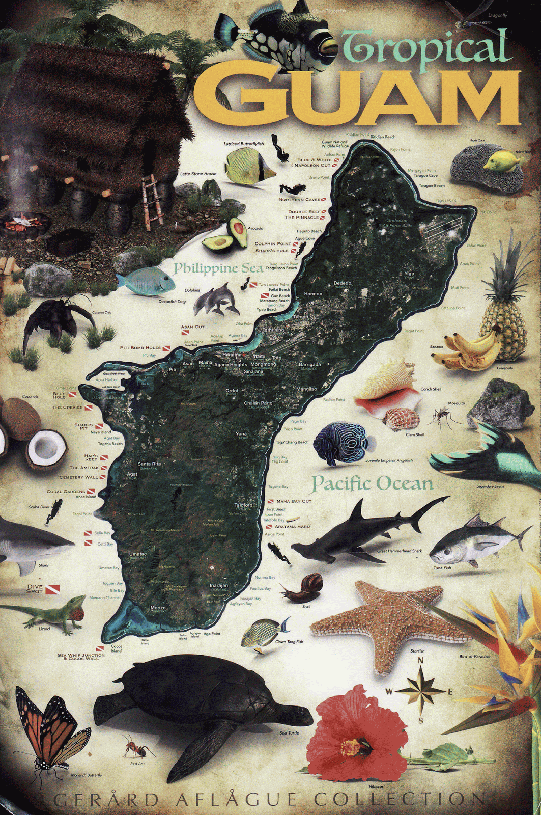 Postcards from my Mailbox