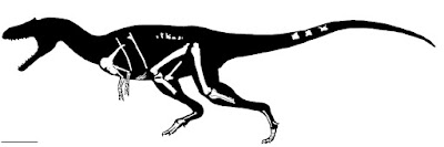 Species New to Science: [Paleontology • 2016] Gualicho shinyae • An ...