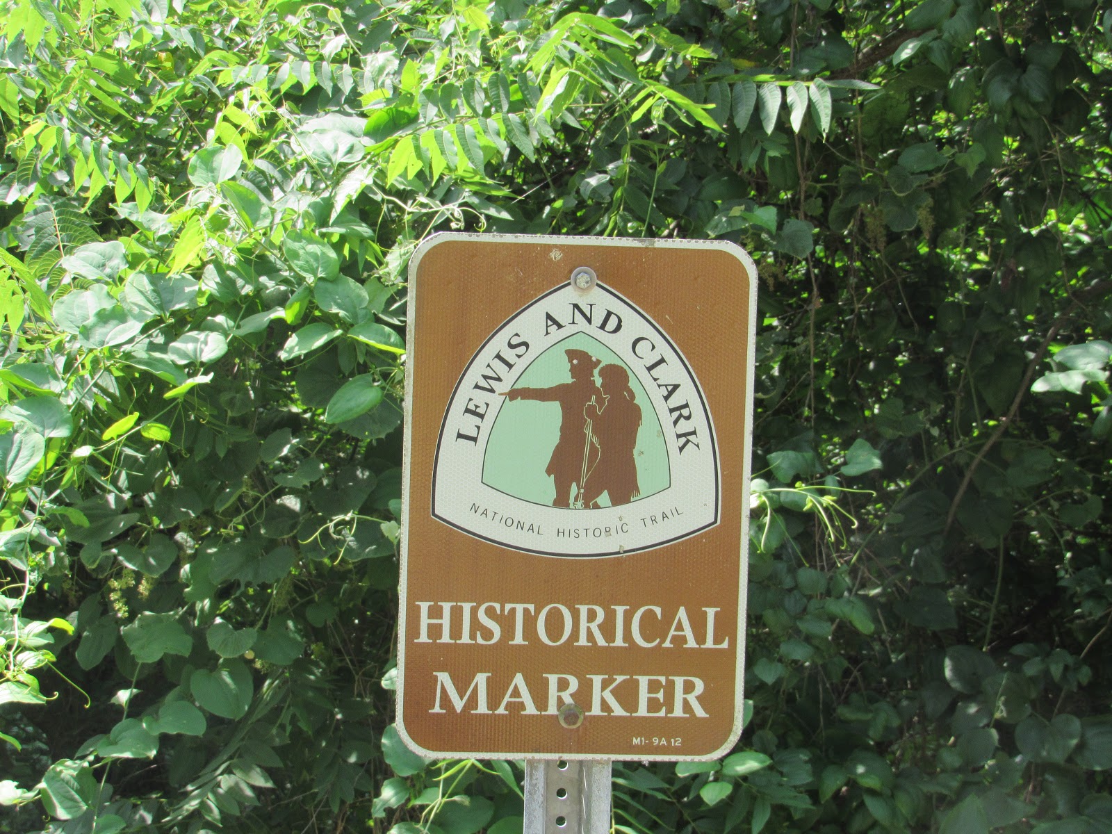 Life and Times of Greg Talley: 2019