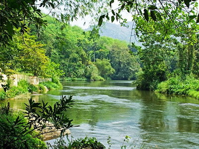 Safari Sri Lanka: Kithulgala - place where the famous 'Bridge on the ...