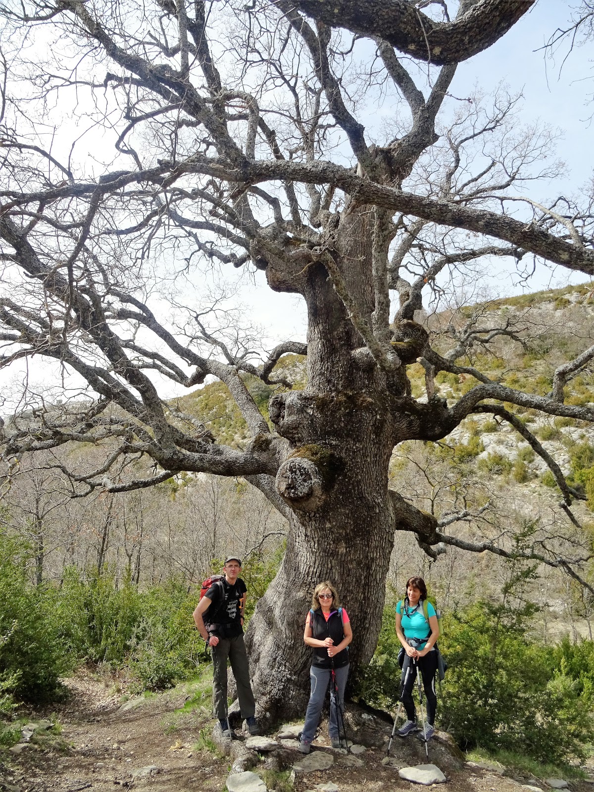 ARTÍCULOS, RESEÑAS LITERARIAS Y EXCURSIONES Carlos Bravo Suárez: VUELTA ...