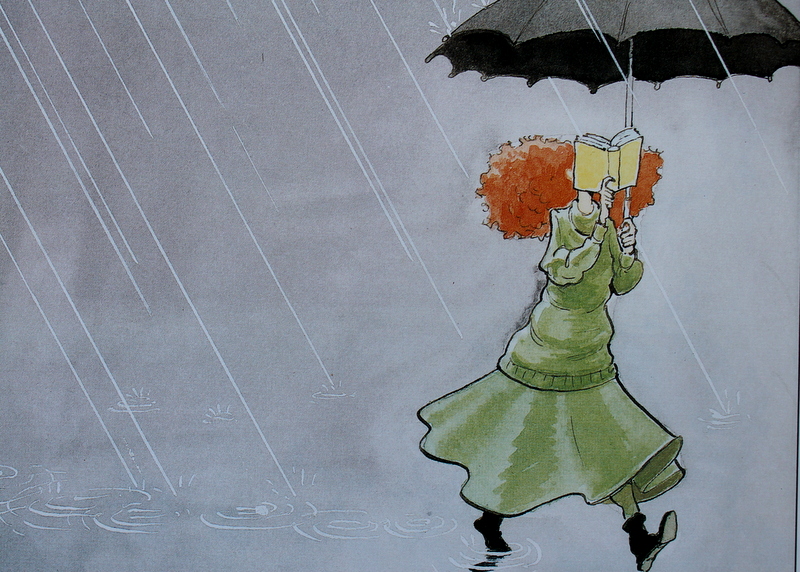 The Library By David Small