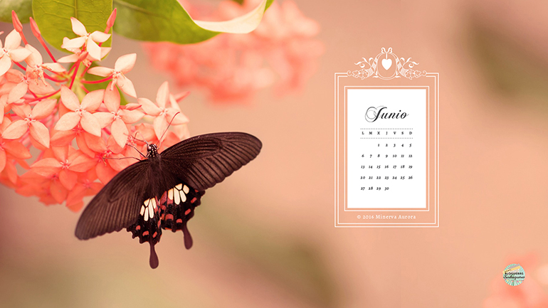 Fondos de pantalla para junio - Odisea gráfica