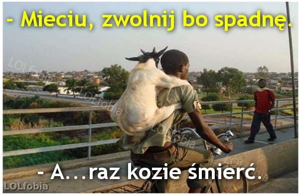 LOLfobia: Wesołe memy...