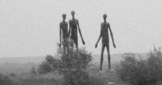 Phantoms and Monsters - Real Cryptid Encounter Reports - Fortean ...