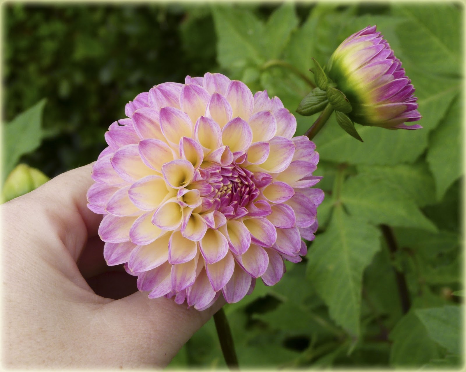 Viajar só?: Outros bonitos locais para conhecer nos Açores