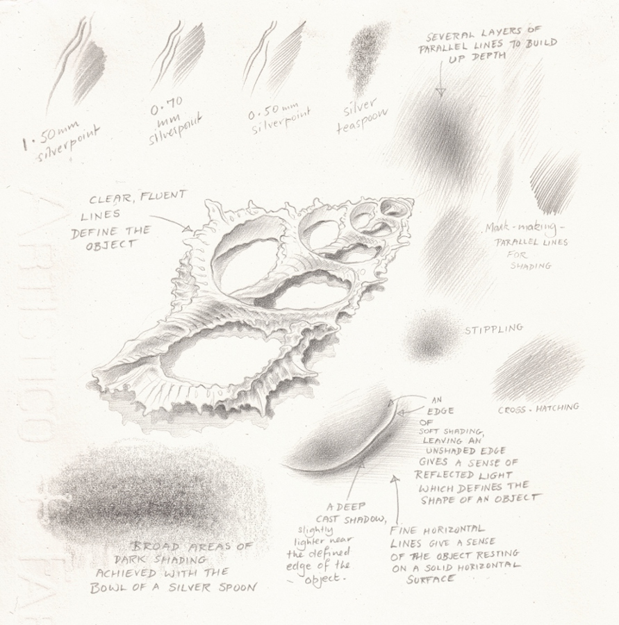 Art Quill Studio: Drawing ArtArt ResourceMarie-Therese Wisniowski