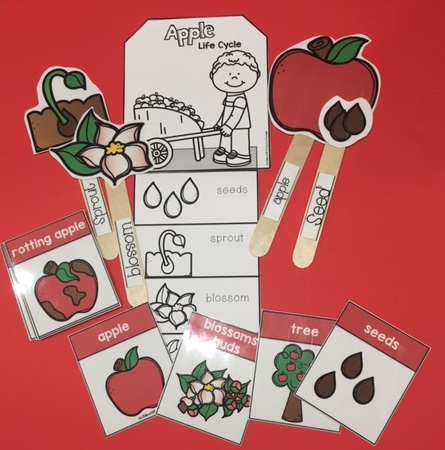 Apple Life Cycle Craft Easy ~ Preschool Printables
