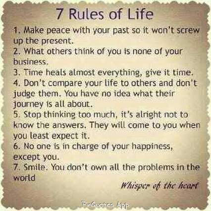 Stranger in a Strange Land: 7 Rules To Live Ones Life By