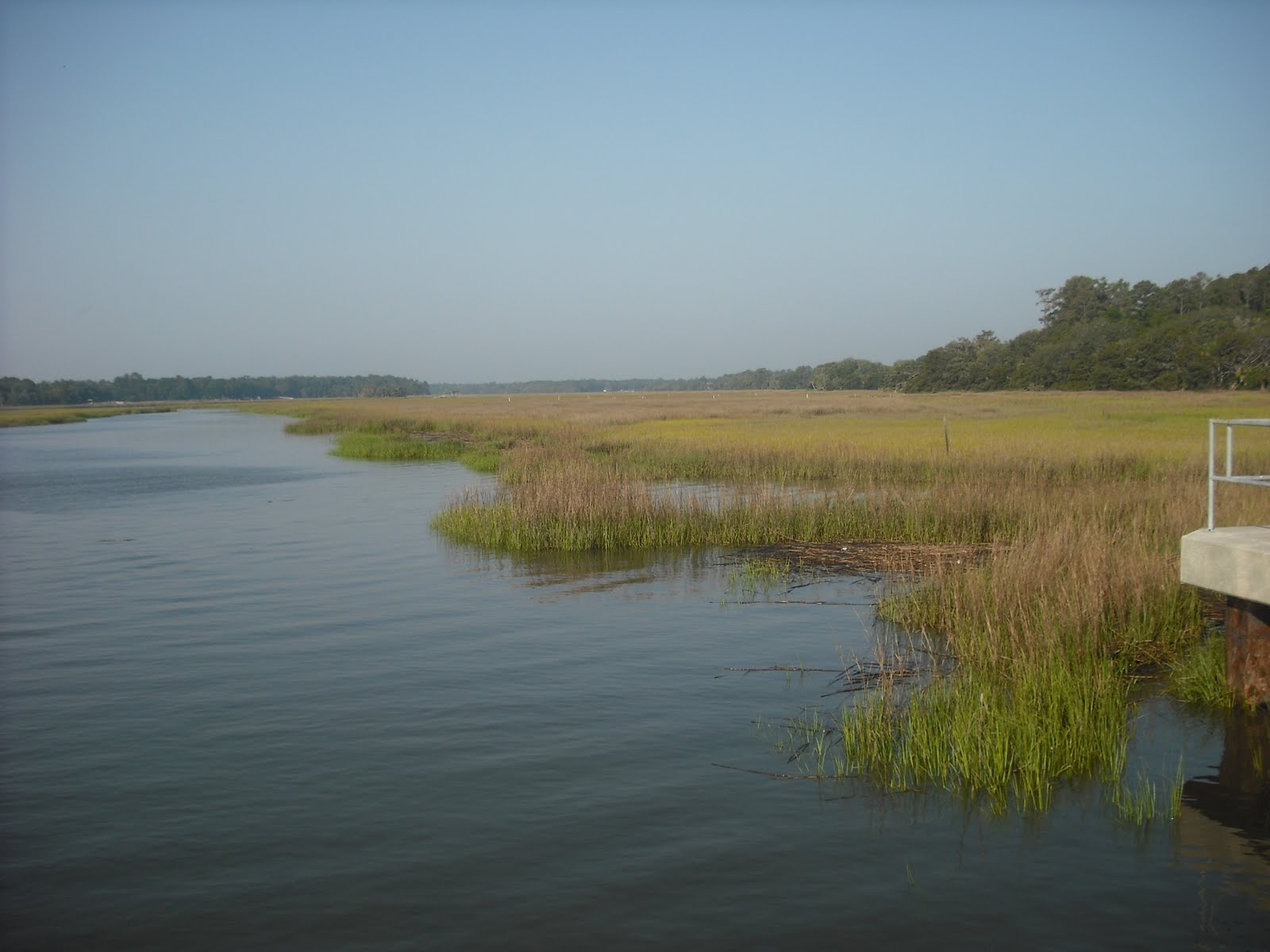 Sights, Sounds, and Tastes of the American South: Sapelo Island ...