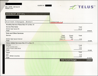 Appendix D: Thoughts on Paperless Billing