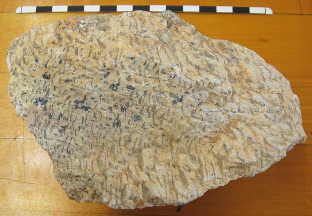 PALEO & GEO TOPICS: Comments by R. L. Squires: Graphic granite